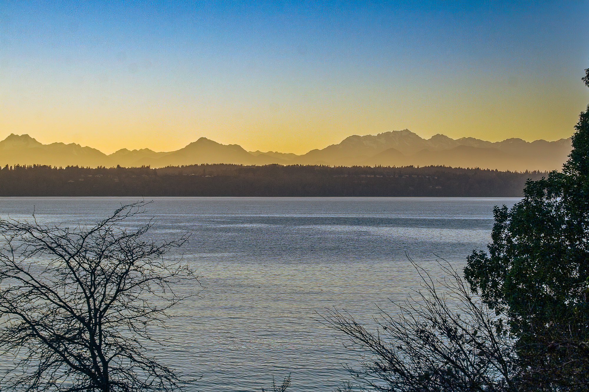 Jason Shutt - 2023's Realtor of Choice